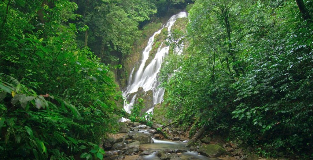 Panama Rainforest Adventure - Excelencia en viajes Panama